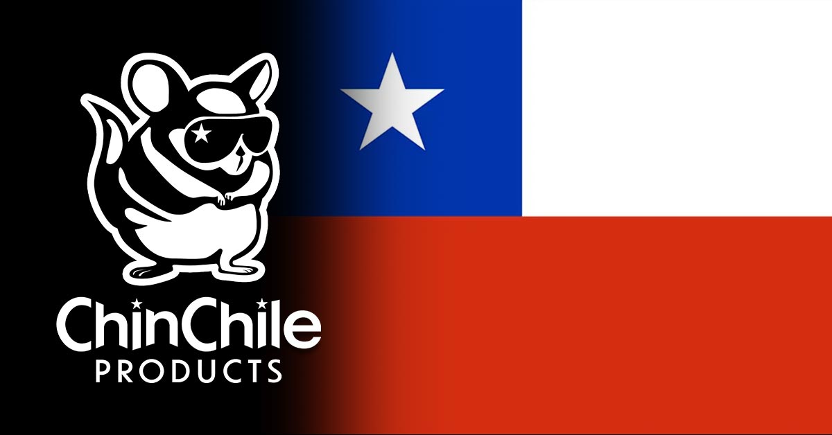Evercrisp Snacks de Chile | Ramitas, Chis Pop, Gatolate y Más - ChinChile