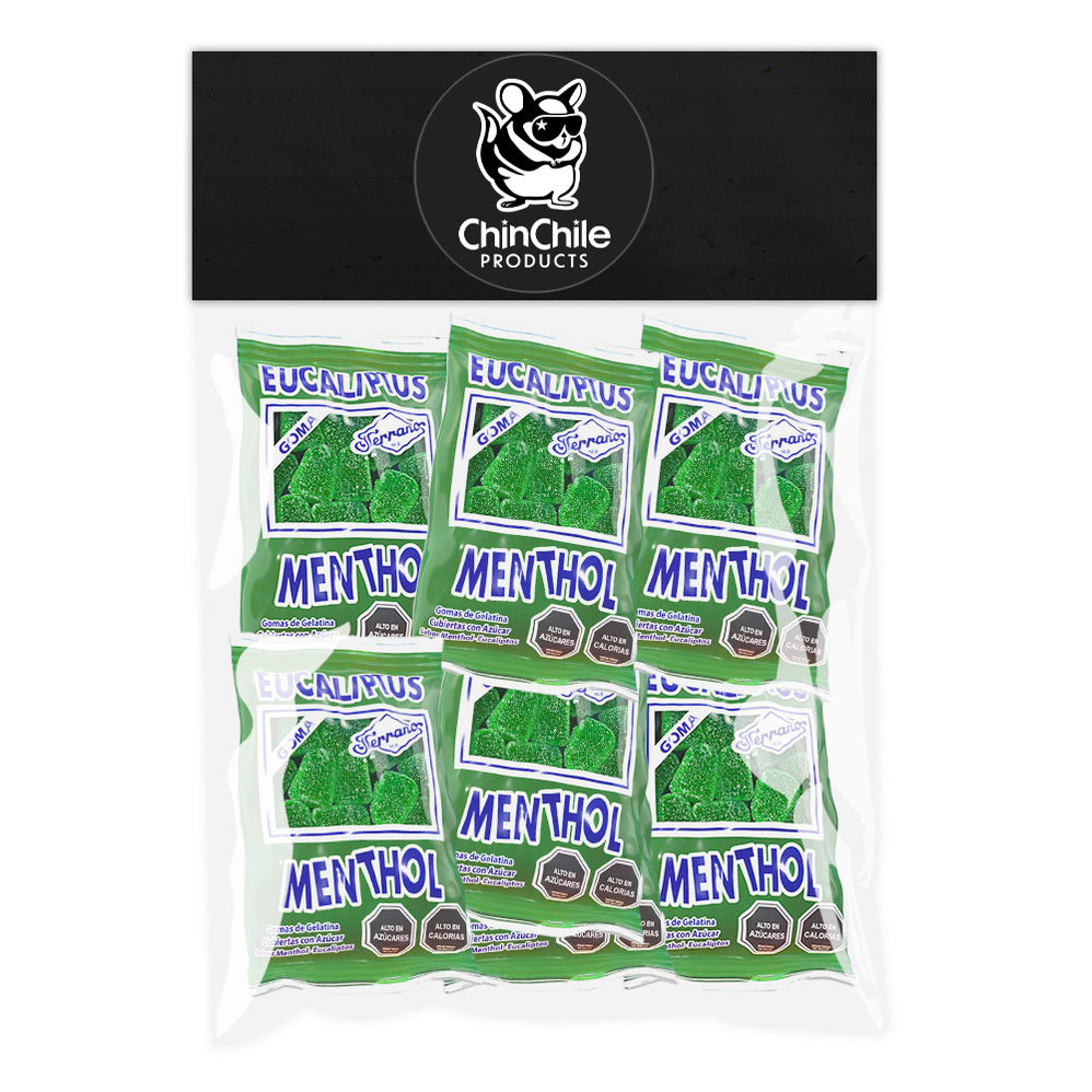 Snacks Chilenos | Ramitas, Frugelé, Cuchuflí y Más - ChinChile